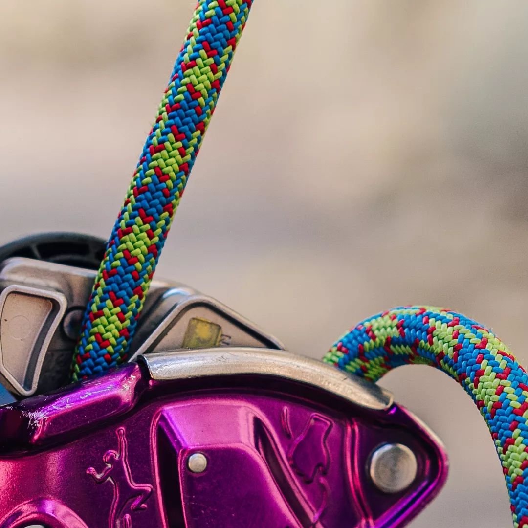 TENDON – tied to be free | MyTendon